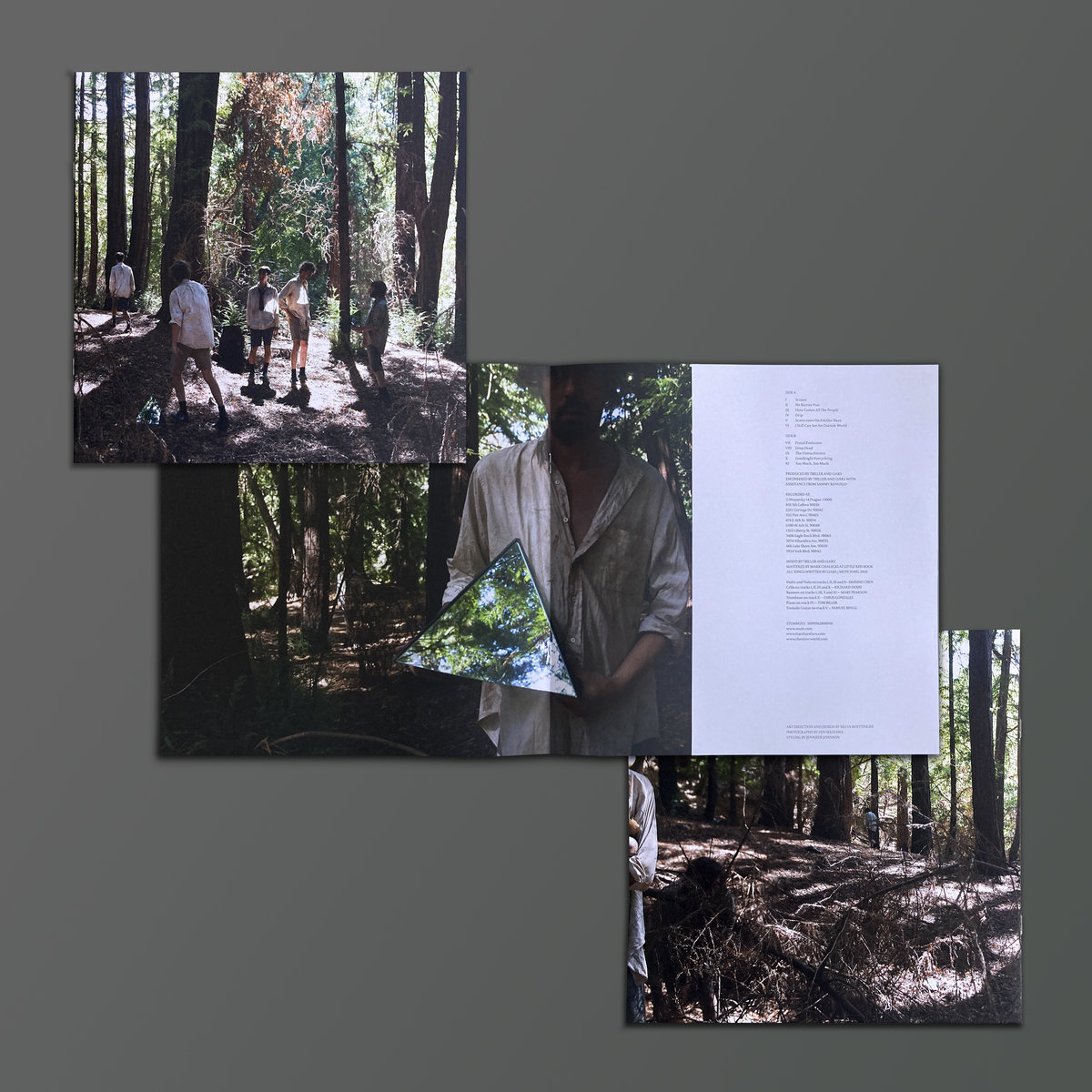 Liars - Sisterworld - Vinyl Philosophy